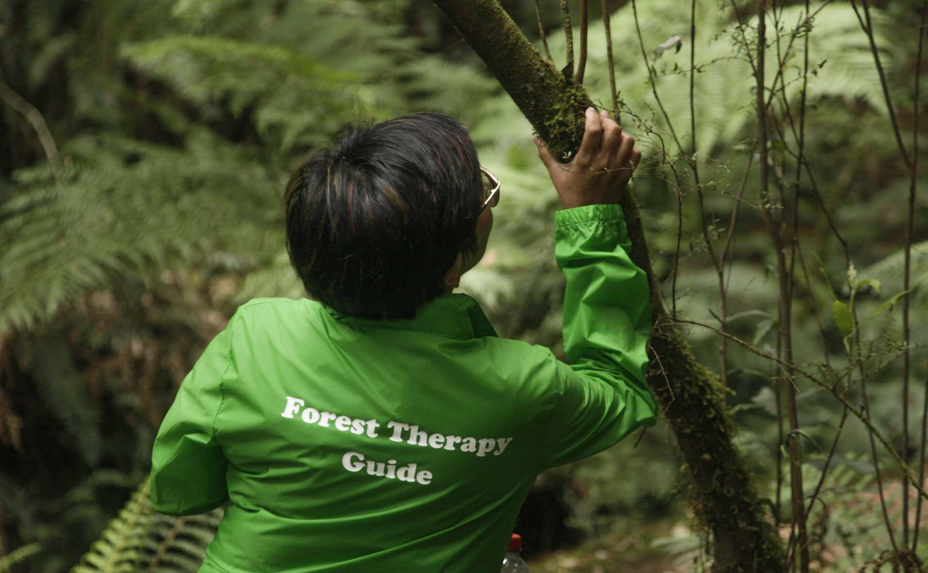 Application for Accreditation with INFTA – INFTA